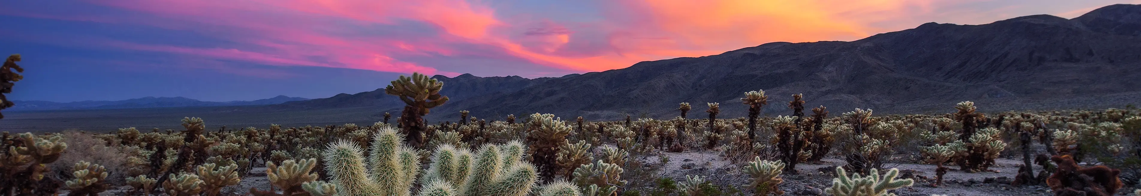 Home and Community-Based Services (HCBS) Waiver Program