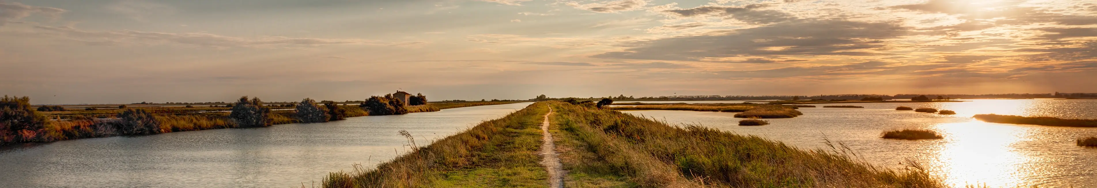 Medi-Cal Services for Non-Seniors | Medi-Cal Regulation Specialists